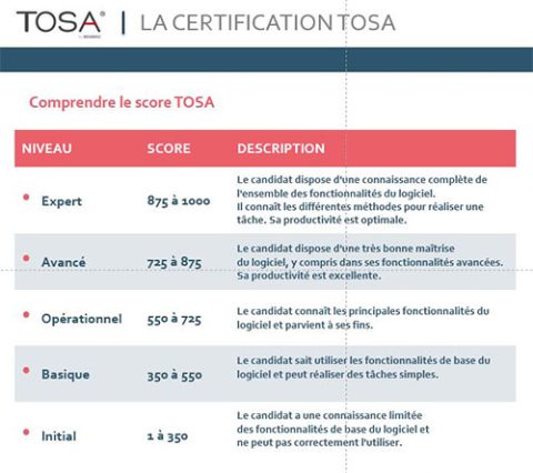 Certification TOSA : valorisé votre niveau EXCEL, WORD, etc